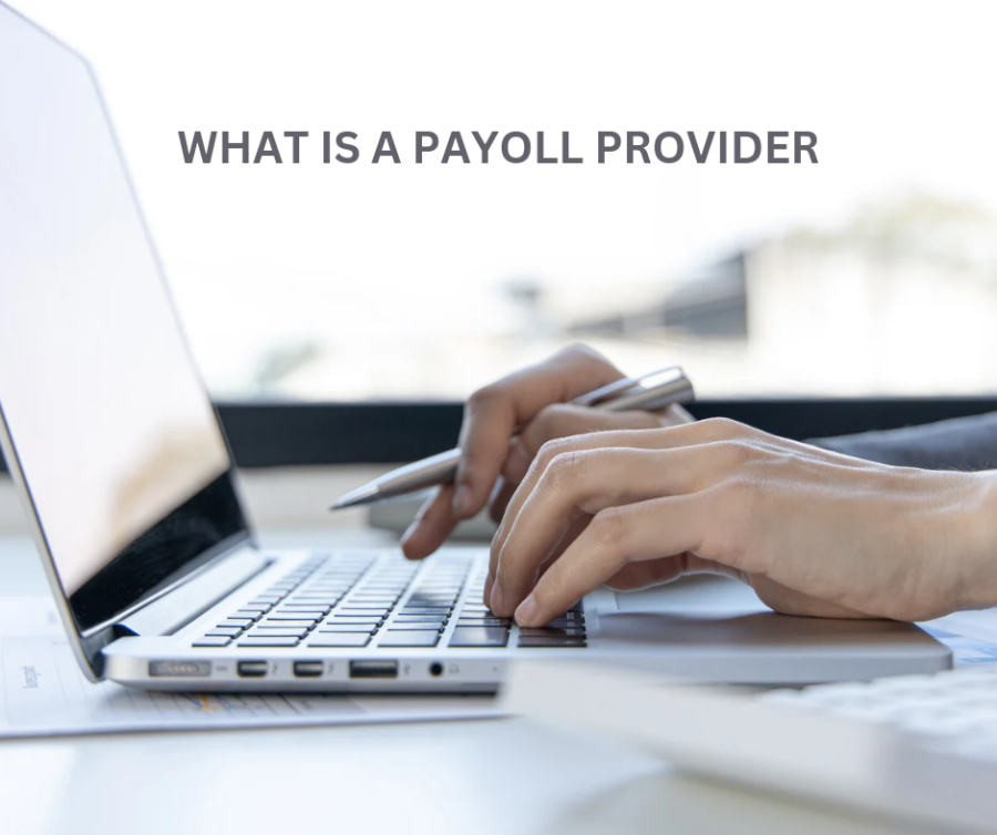 What is a Payroll Provider?: Things You Need to Know | PoweredUp Consulting